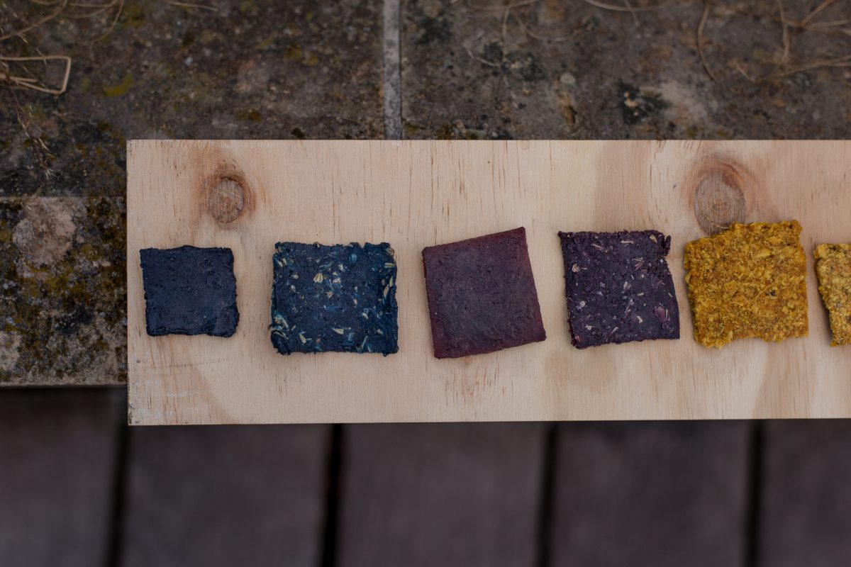 Designing for a Fertile Future - Sixty Inches From Center